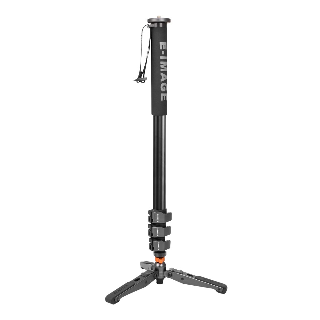 Monopods - Ikan
